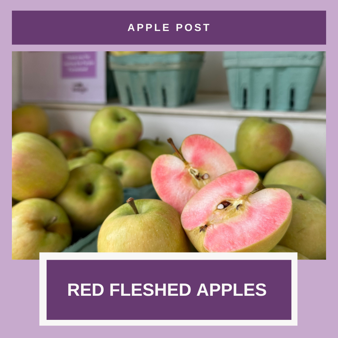 Red Fleshed Apples – Robson's Farm